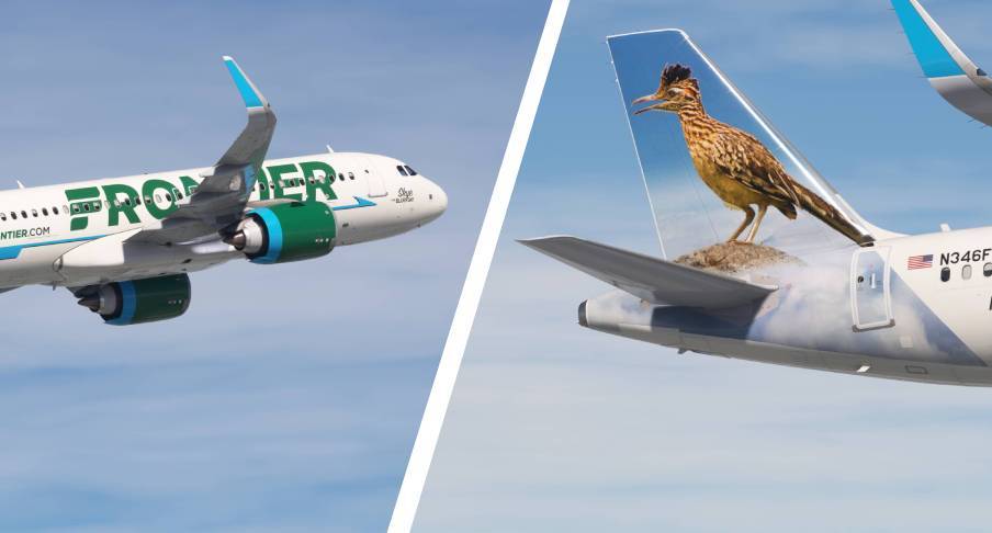 A320neo v2 Frontier Sky Animals Livery Pack 1 · Unofficial MSFS ...